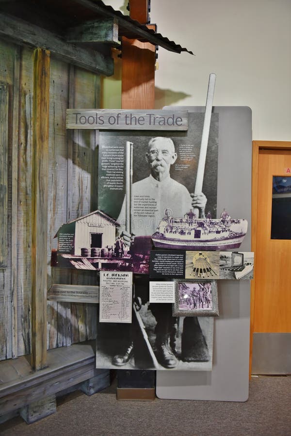 Strumenti Orientali Della Riserva Della Virginia Della Riva Del ...