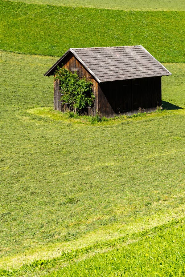 Strumento Sparso in Un Prato Verde Immagine Stock - Immagine di casa ...