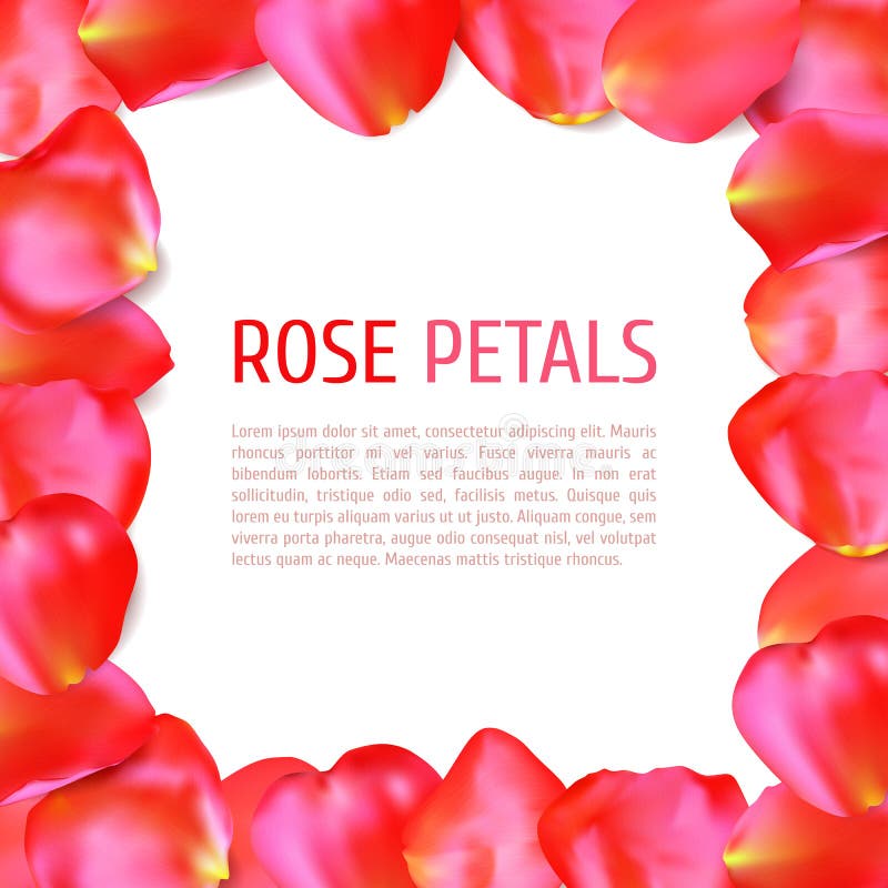 Struttura Dei Petali Di Rosa Illustrazione Vettoriale - Illustrazione ...