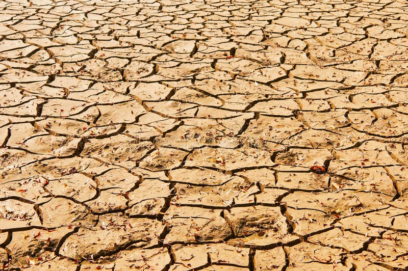 Struttura del fango immagine stock. Immagine di essiccamento - 22449229