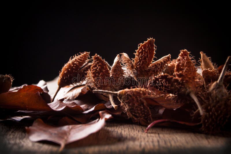 416 Faggina Foto stock - Foto stock gratuite e royalty free da Dreamstime