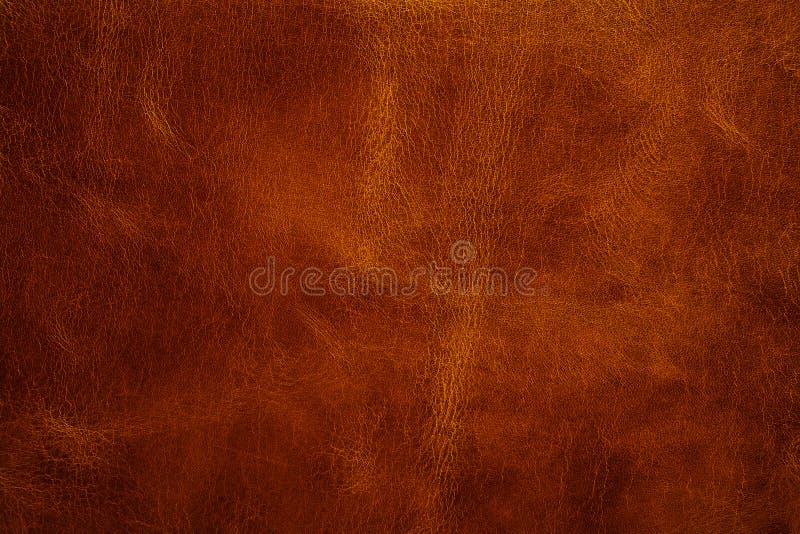 Texture di pelle immagine stock. Immagine di macro, vestiti - 22043639
