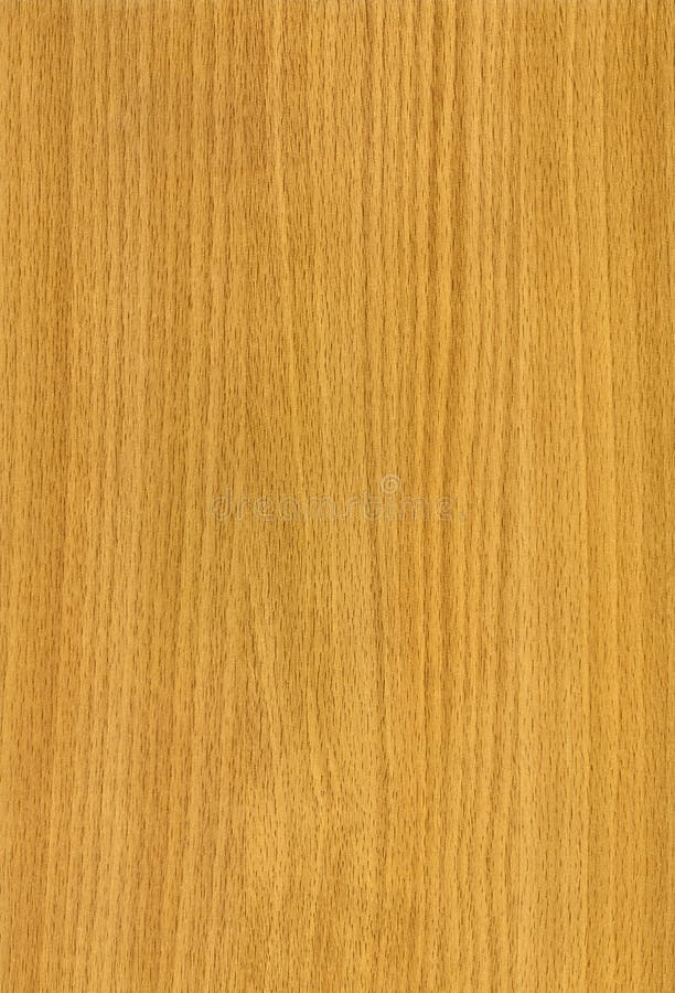 Texture in legno di faggio fotografia stock. Immagine di estratto - 3497756