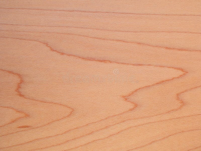 Texture Del Legno Di Faggio Fotografia Stock - Immagine di carpenteria ...
