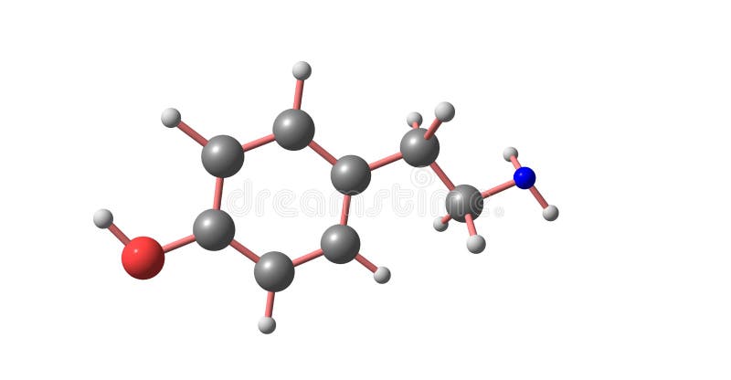 Struttura Molecolare Della Tiramina Isolata Su Bianco Illustrazione di ...