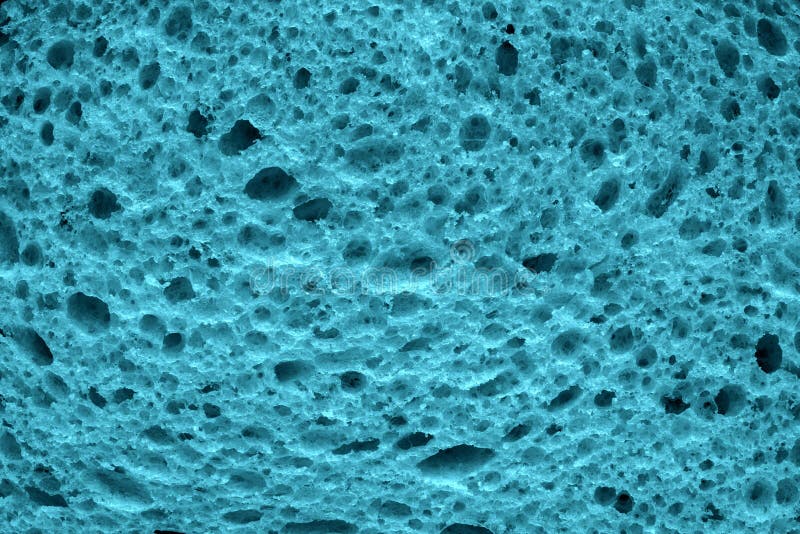 La Struttura Del Soffitto Della Cellulosa Fotografia Stock - Immagine ...