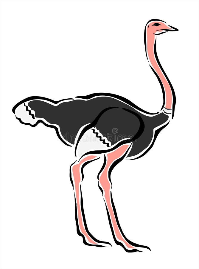 Disegno dello struzzo illustrazione vettoriale. Illustrazione di africa ...