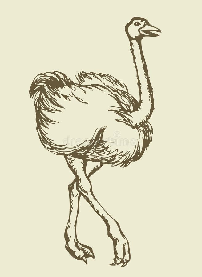 Andare Allo Struzzo Icona Disegno Vettoriale Illustrazione Vettoriale ...