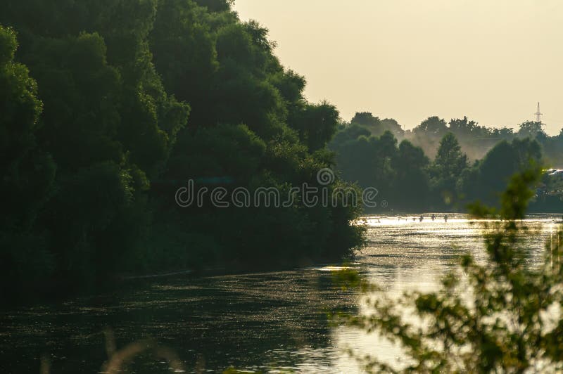 Stryi River stock photo. Image of tree, sunlight, nature - 224464558