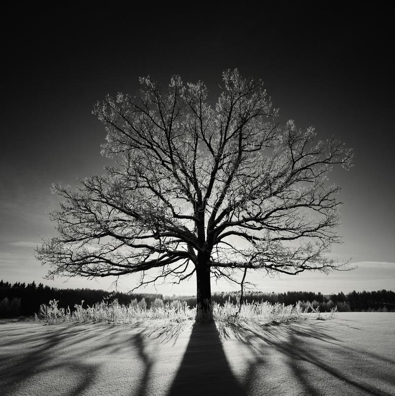 Stryka arkivfoto. Bild av prestation, kvinnlig, samtycka - 59007748