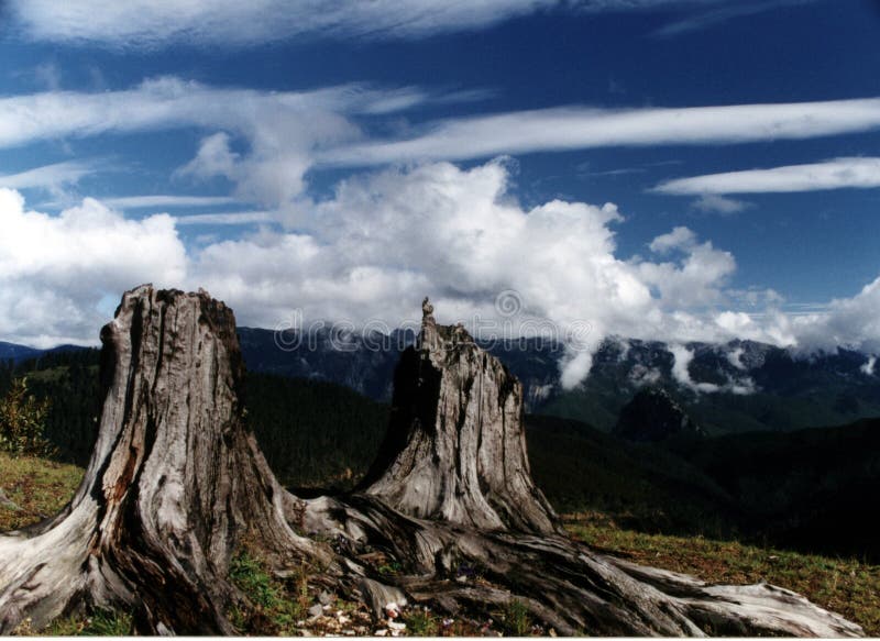 Stub stock photo. Image of stub, blue, asia, background - 1592204