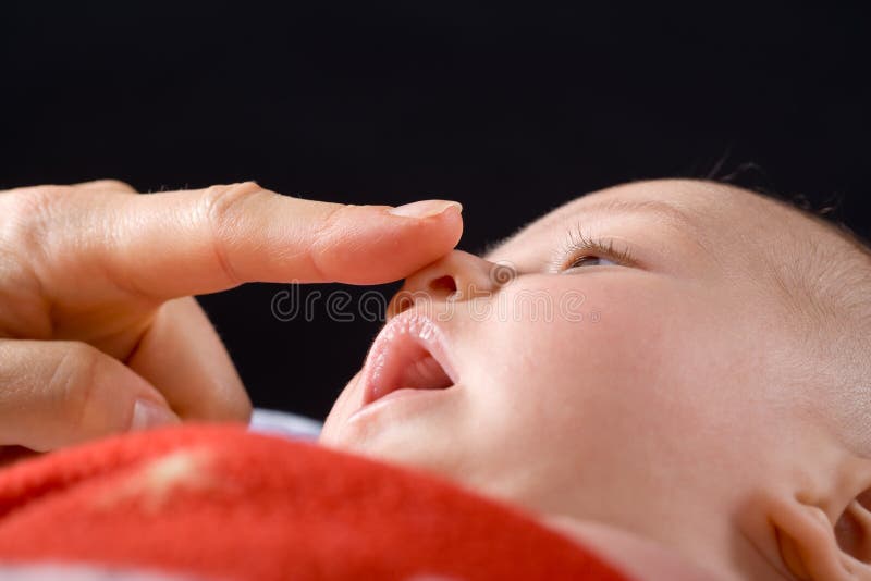 Stub nose stock image. Image of suckling, newborn, child - 3727011