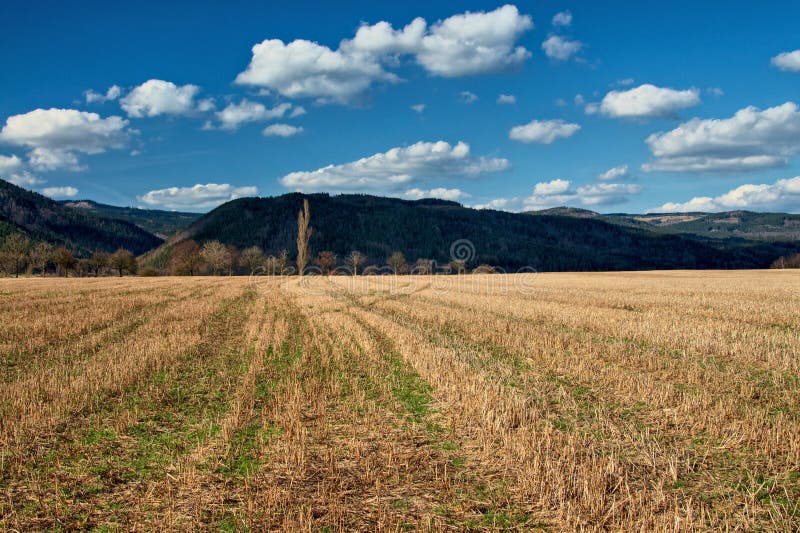 Stubble Fields Early Spring with Forested Mountains in Background Stock ...