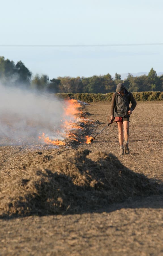 Stubble fire being lit stock photo. Image of protection - 2313110