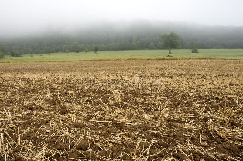 Stubble mulch stock image. Image of cereal, crop, farming - 2057405