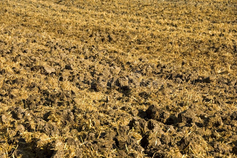 Stubble mulch stock image. Image of rural, agriculture - 2057587