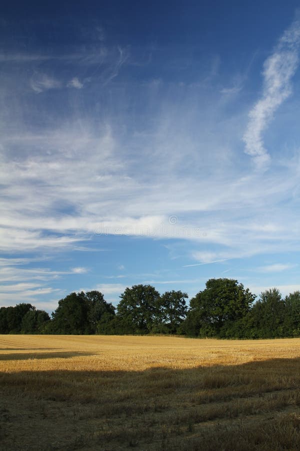 Stubblefield stock image. Image of harvested, field, summer - 42423507