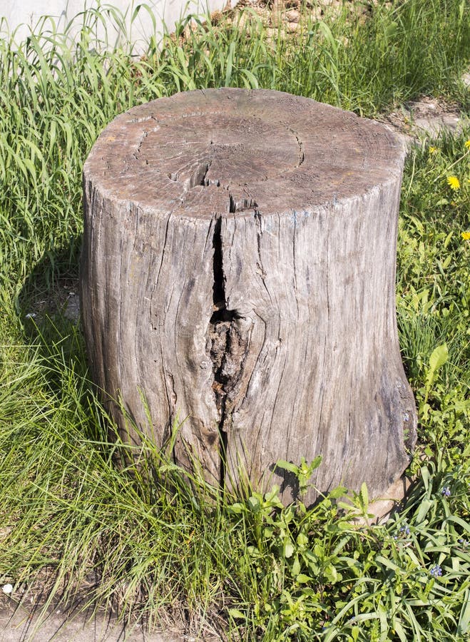 Stub and saw stock photo. Image of agriculture, building - 36558018