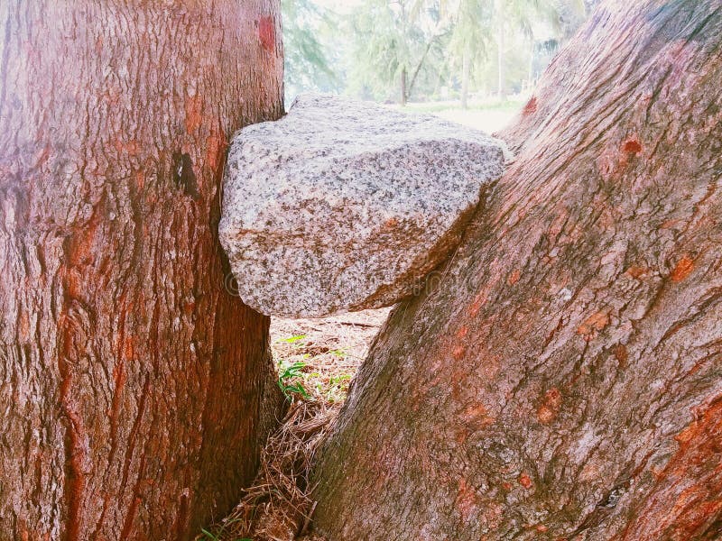 Rock stuck in a channel stock photo. Image of water - 100006570
