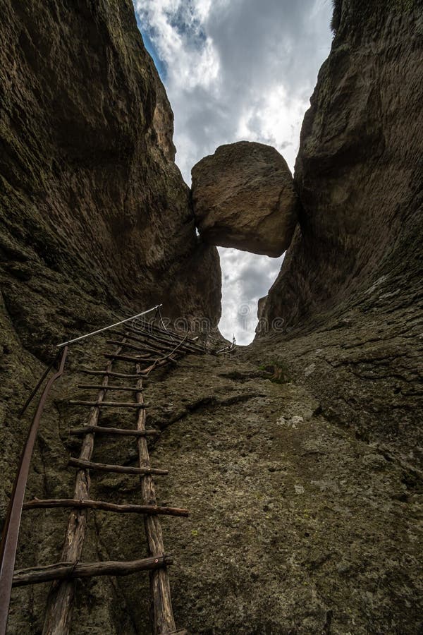 Stuck stone in the rocks stock image. Image of plant - 248143031