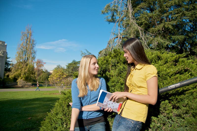 Student conversation stock photo. Image of adult, discussion - 8912956