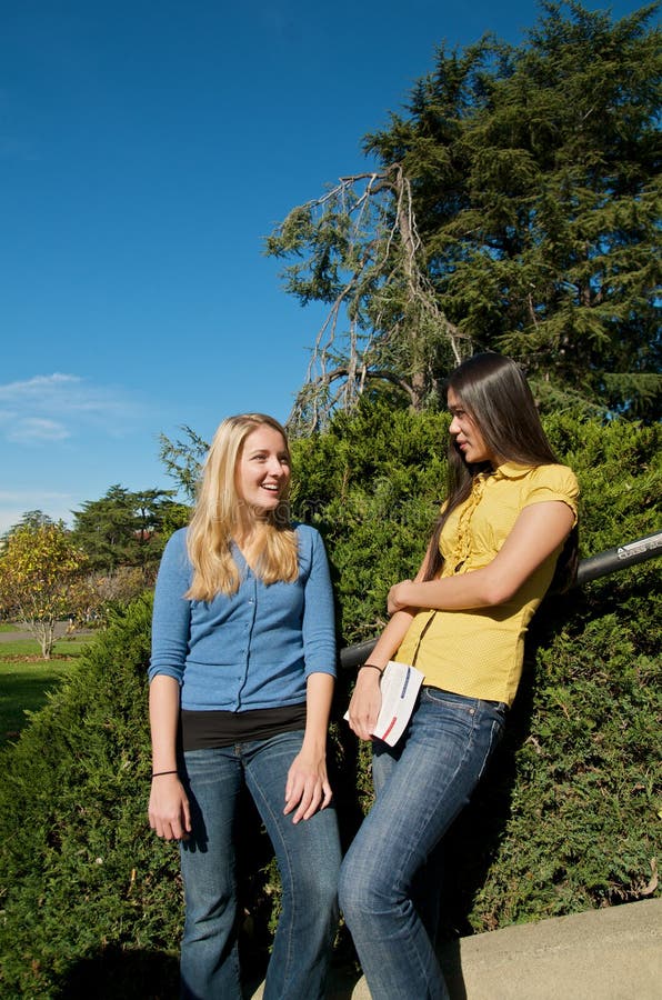 Student conversation stock photo. Image of cooperation - 8913008