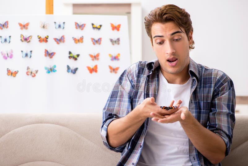 The Student Entomologist Studying New Species of Butterflies Stock ...
