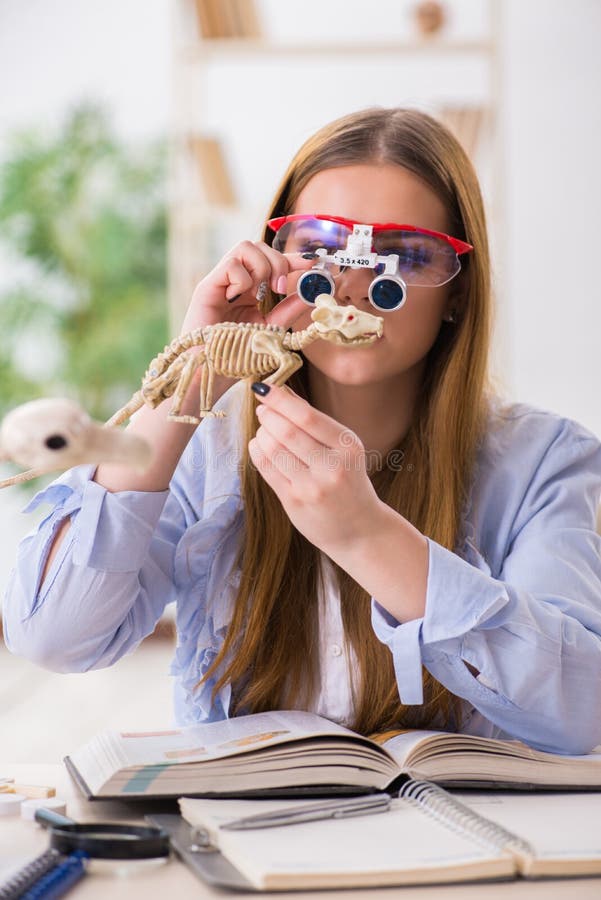 The Student Examining Animal Skeleton in Classroom Stock Image - Image ...