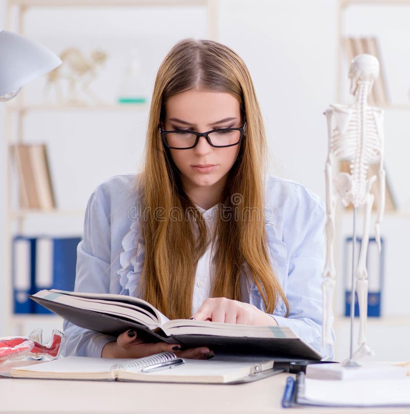 Student Examining Animal Skeleton in Classroom Stock Image - Image of ...