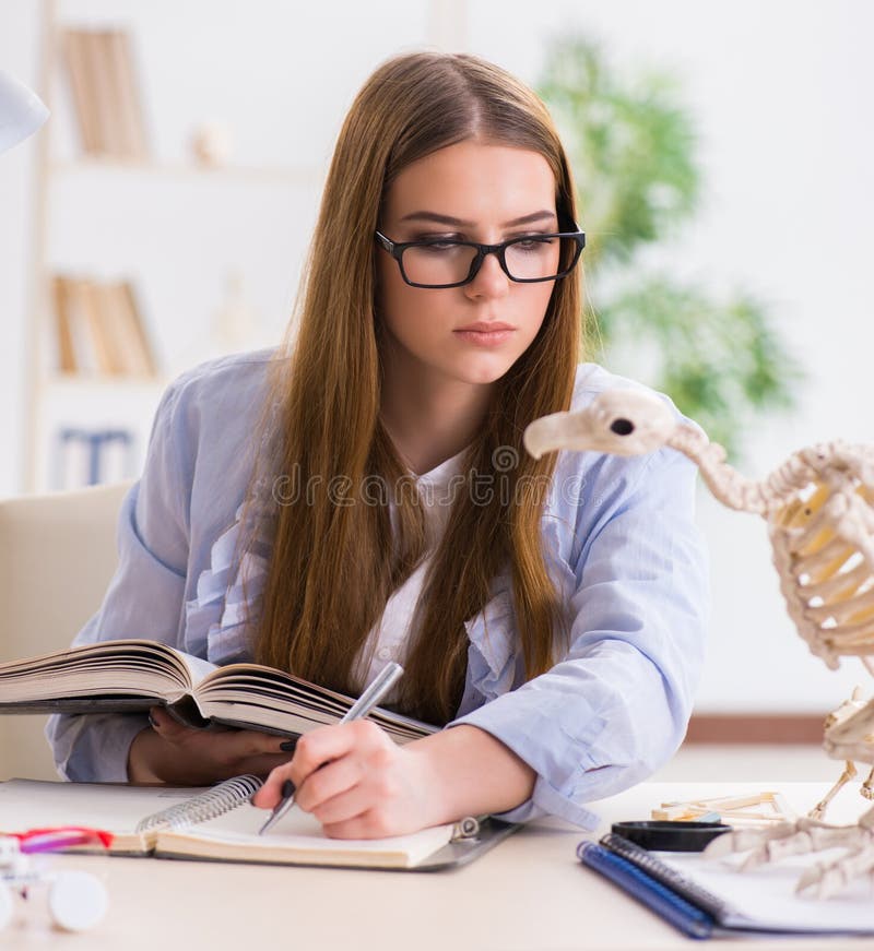 Student Examining Animal Skeleton in Classroom Stock Image - Image of ...