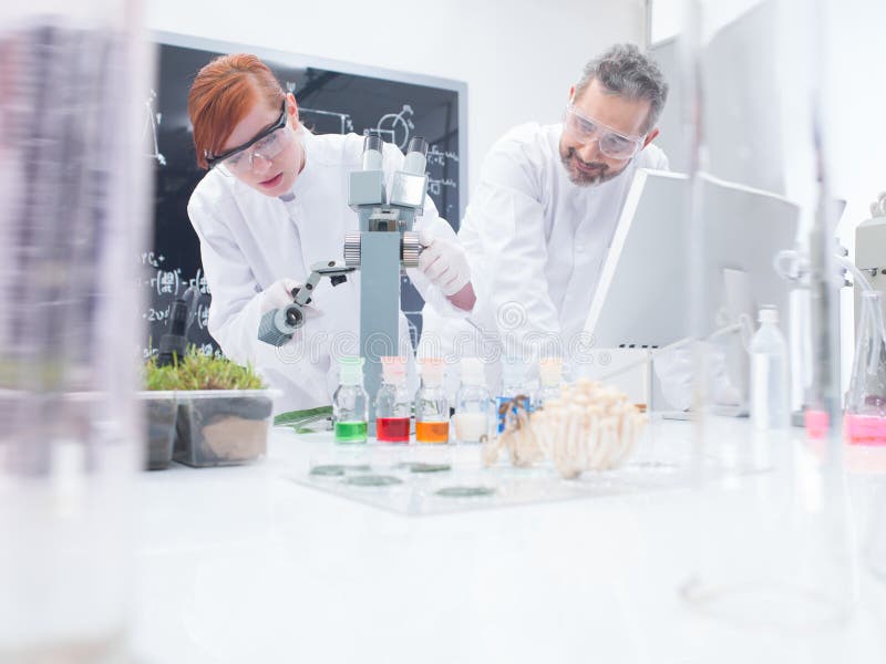 Experiment Equipment and Materials in Sterile Chamber Stock Image ...