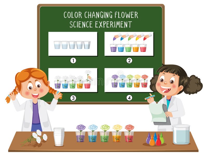 Student Explaining Color Changing Flower Science Experiment Stock ...