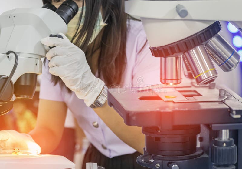 Student Girl Looking through Microscope in Science Laboratory Study ...