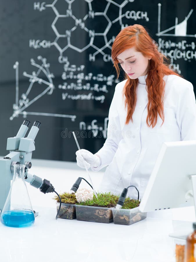 Laboratory curious student stock photo. Image of college - 31257954