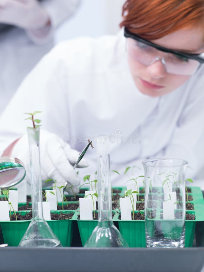 Student lab experiment stock image. Image of energy, glove - 31257831