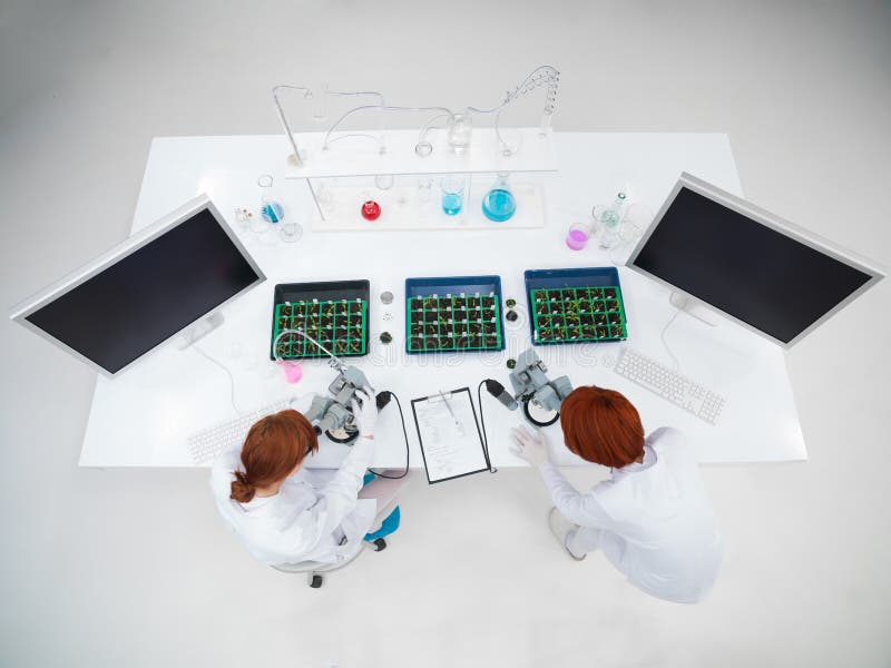 Student Laboratory Experiment Stock Image - Image of copyspace ...