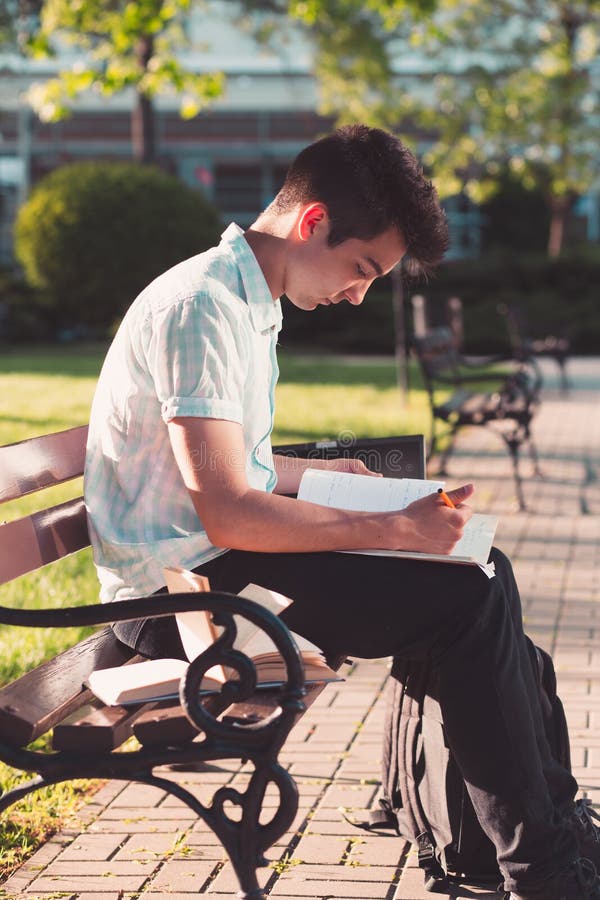 Student Making the Notes Sitting on a Bench in the Park Stock Photo ...