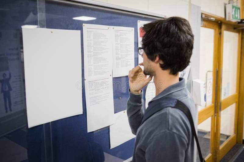 Student Reading Notice Board Stock Image - Image of clothing, corridor ...