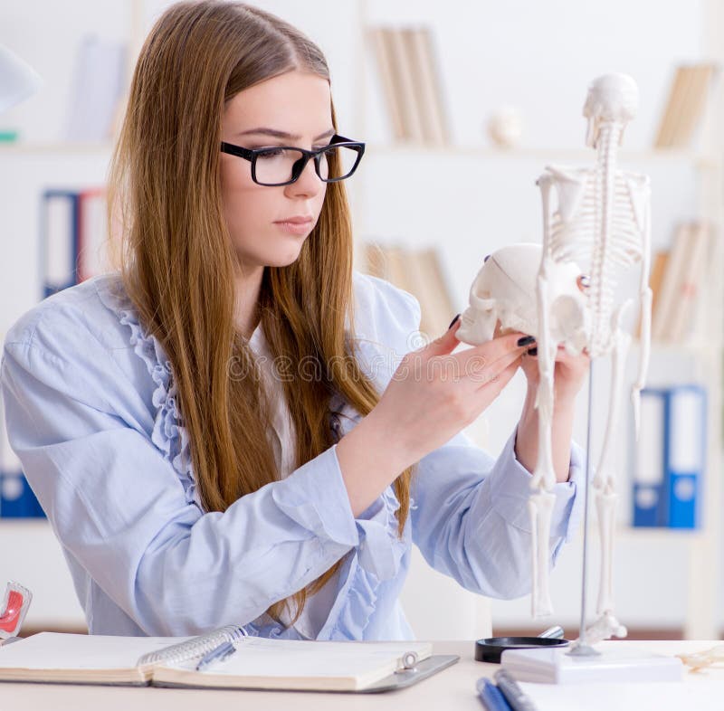 Student Sitting in Classroom and Studying Skeleton Stock Image - Image ...