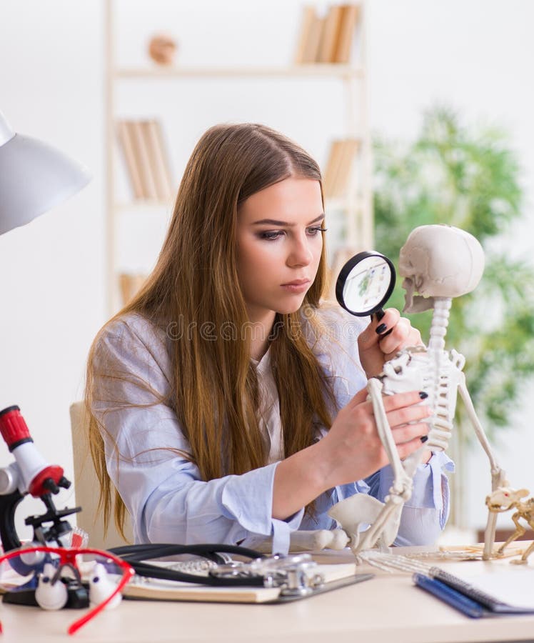 Student Sitting in Classroom and Studying Skeleton Stock Photo - Image ...