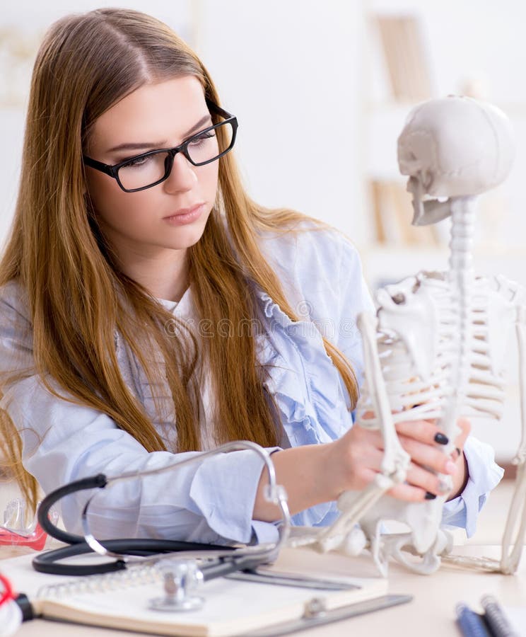 Student Sitting in Classroom and Studying Skeleton Stock Photo - Image ...