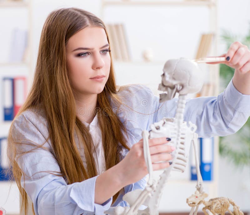 Student Sitting in Classroom and Studying Skeleton Stock Image - Image ...