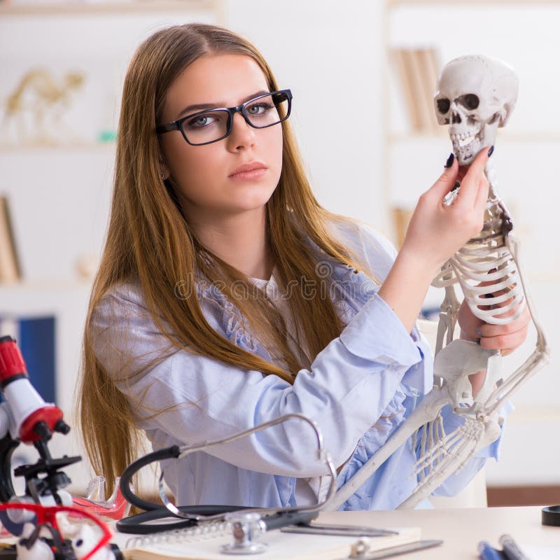Student Sitting in Classroom and Studying Skeleton Stock Image - Image ...