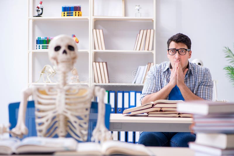 The Student Skeleton Listening To Lecture in Classroom Stock Image ...