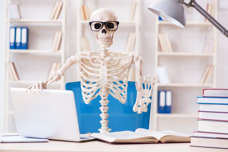 The Student Skeleton Preparing for Exams Stock Photo - Image of college ...