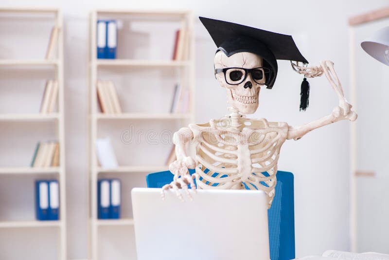 The Student Skeleton Preparing for Exams Stock Photo - Image of ...
