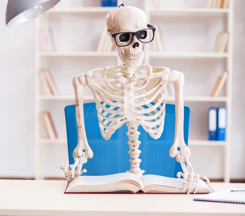 Student Skeleton Preparing for Exams Stock Photo - Image of busy, book ...