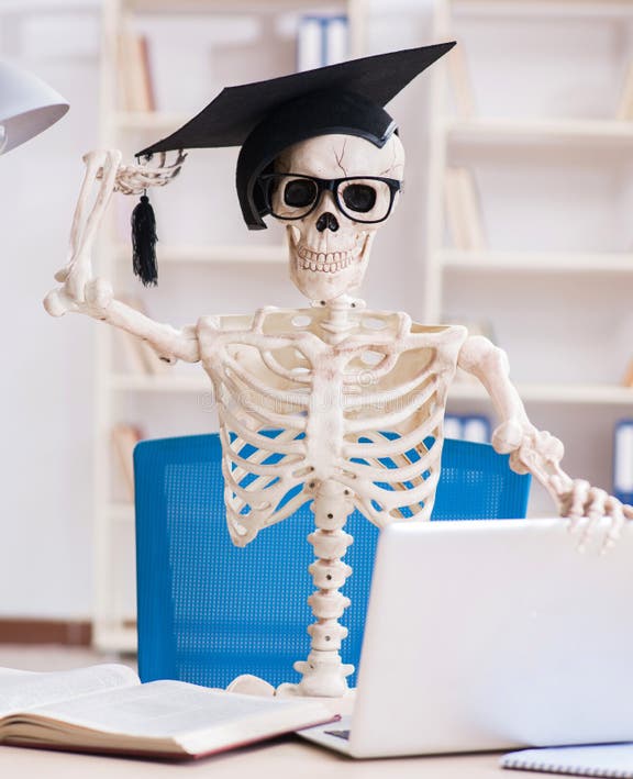 Student Skeleton Preparing for Exams Stock Image - Image of online ...