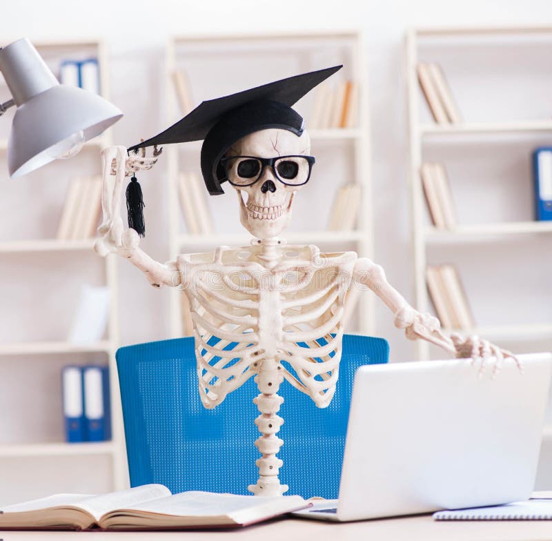 Student Skeleton Preparing for Exams Stock Photo - Image of educational ...