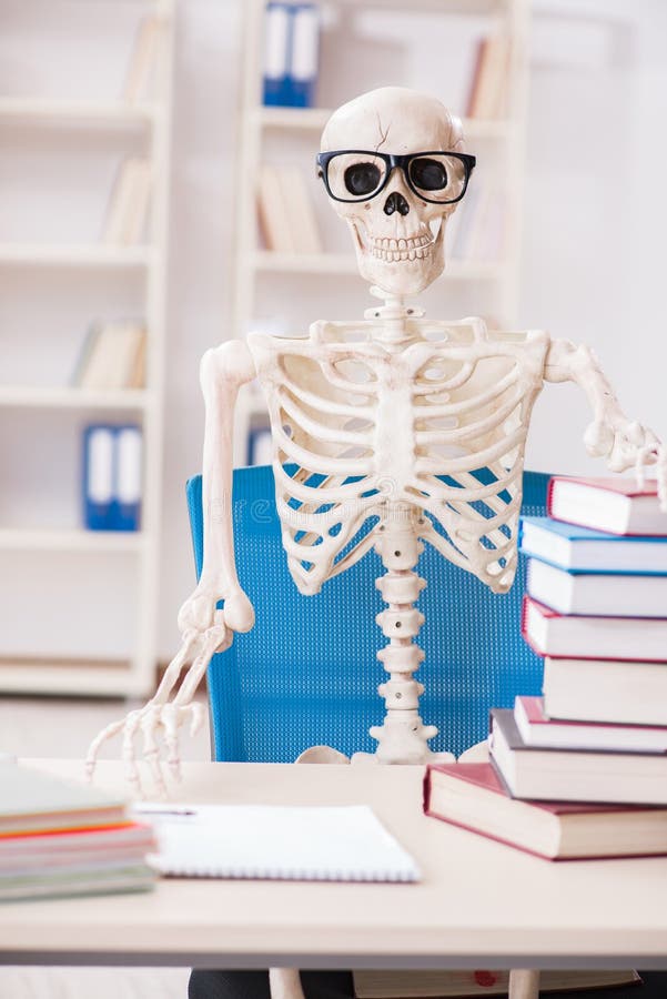The Student Skeleton Preparing for Exams Stock Image - Image of medical ...